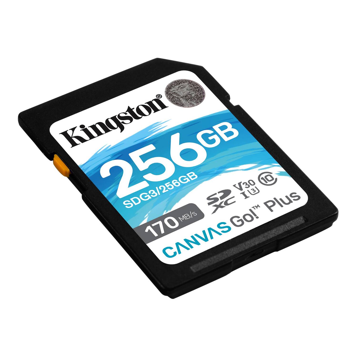 ≡ Карта пам`яті Kingston SDXC 256GB Canvas Go Plus 170R C10 UHS-I U3 V30 (SDG3/256GB) – купити в ...