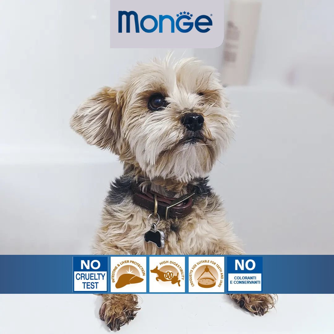 Сухой корм для щенков мелких пород Gemon Dog Mini Puppy & Junior со ...